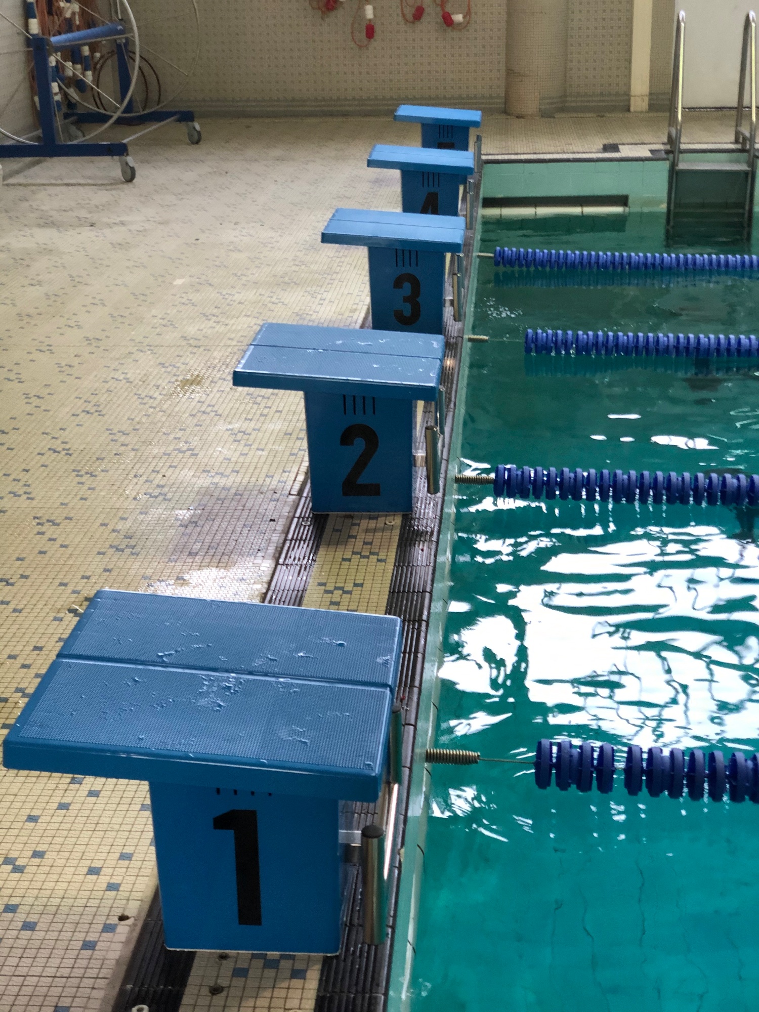 New starting blocks at the Alsaa pool!