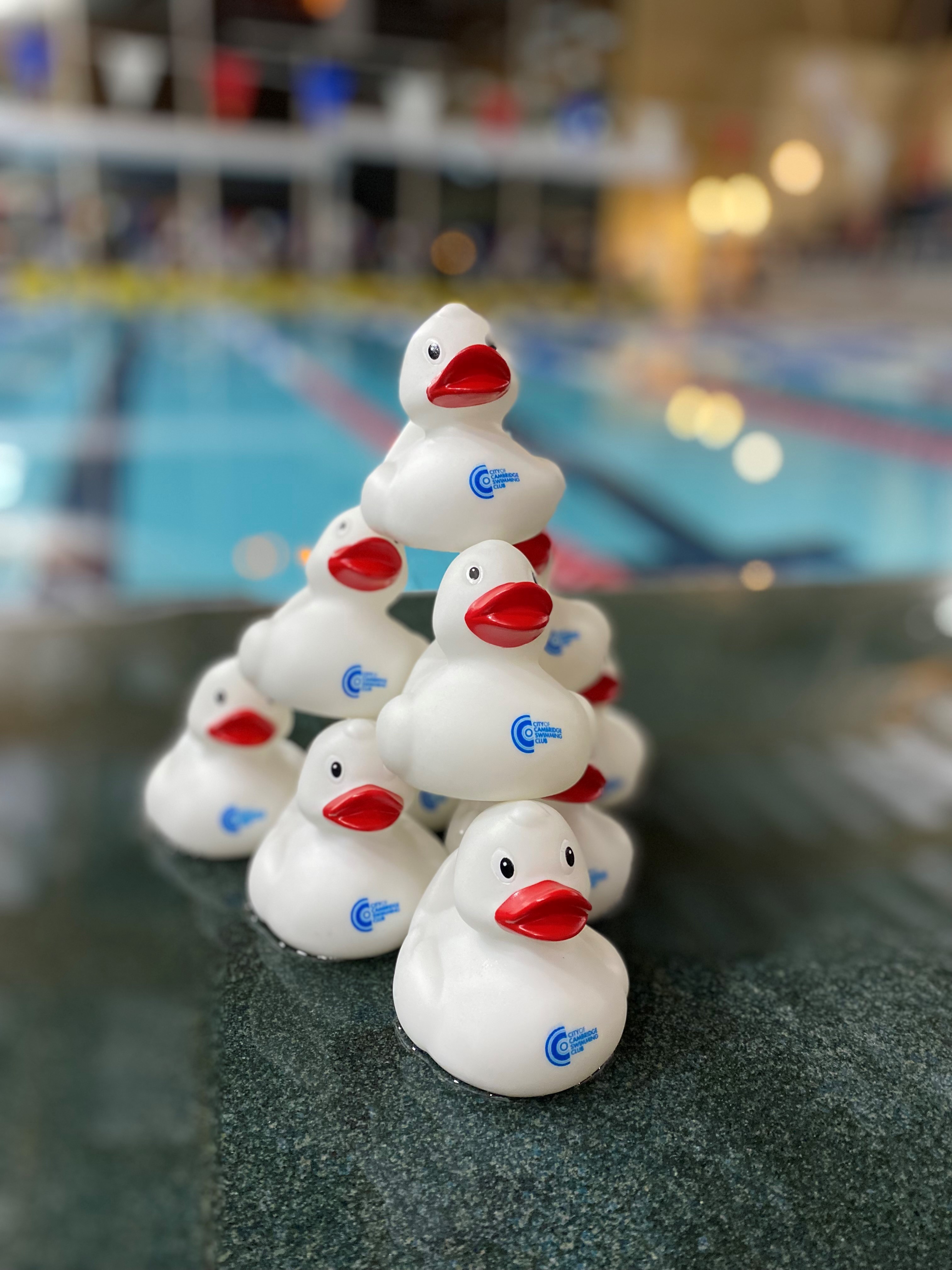 City of Cambridge Swimming Club - CoCSC Meets