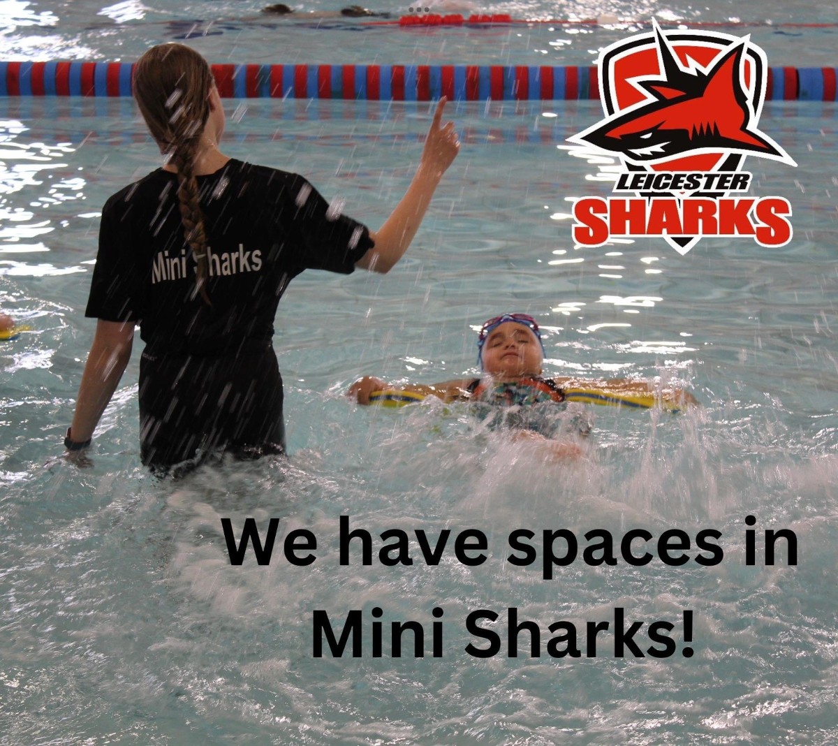 Leicester Sharks Competitive Swimming Club Home