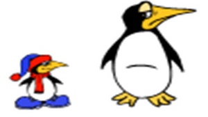 Edenbridge Piranhas - Swim Groups