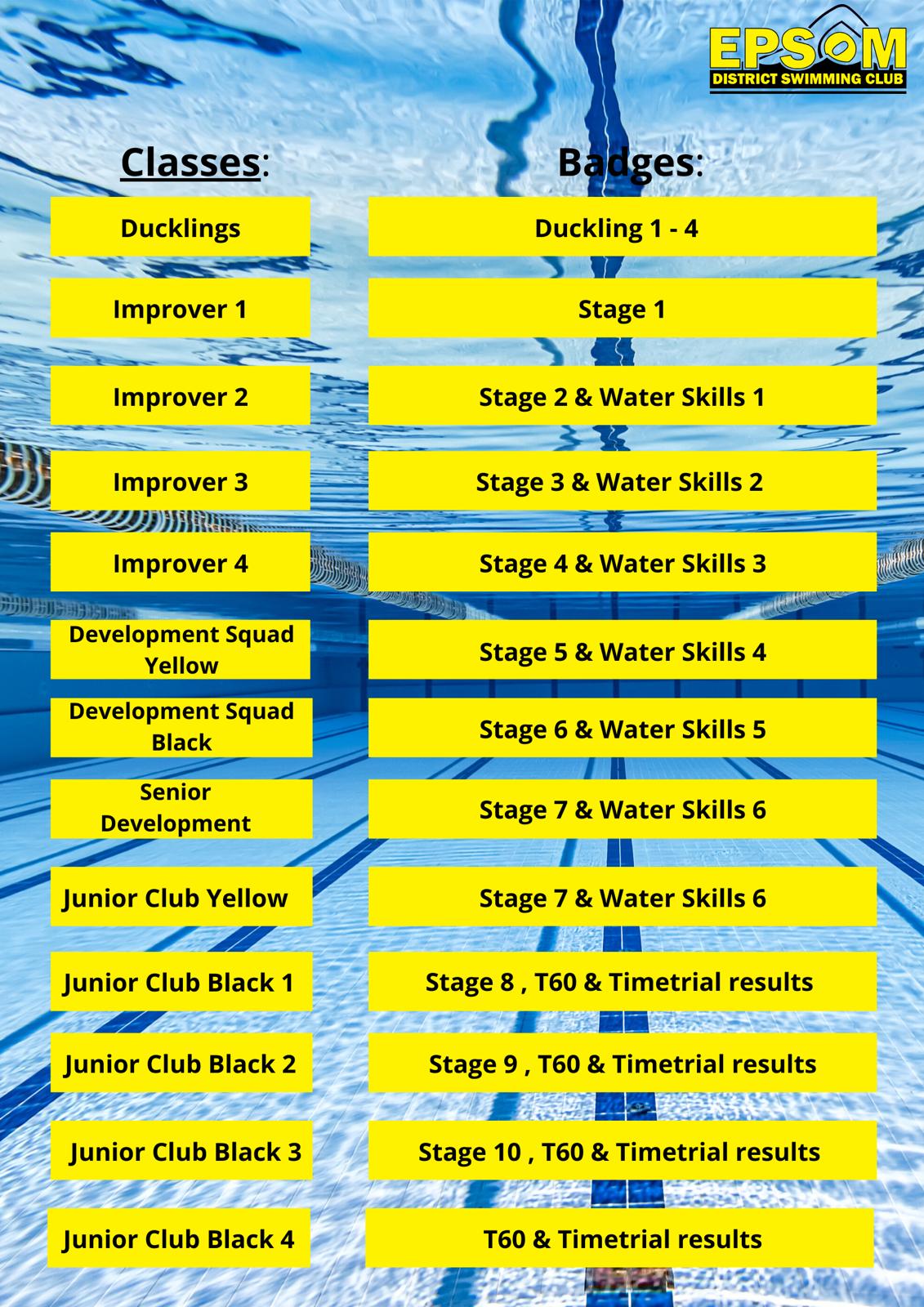 Epsom District Swimming Club - Teaching Structure