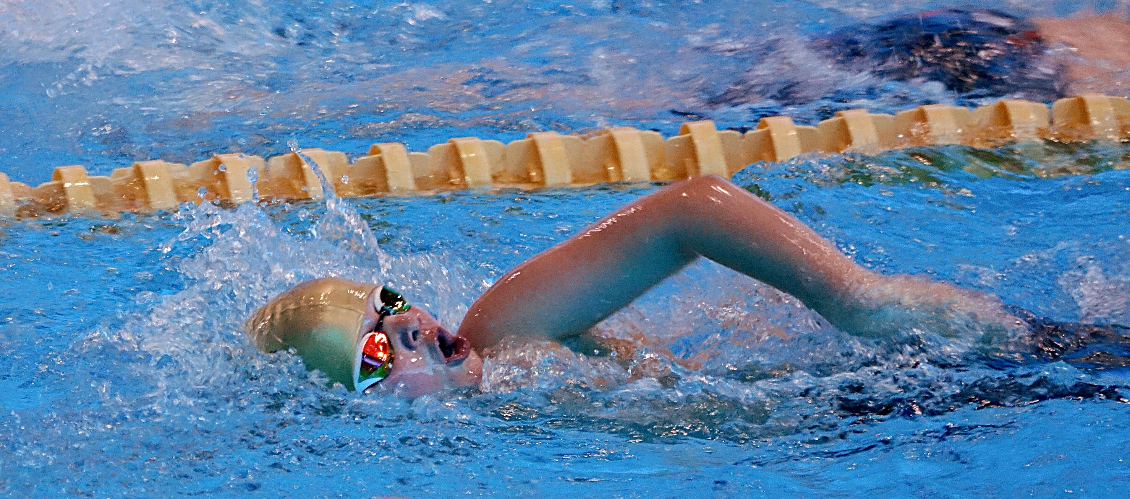 Farnham Swimming Club - Membership Fees