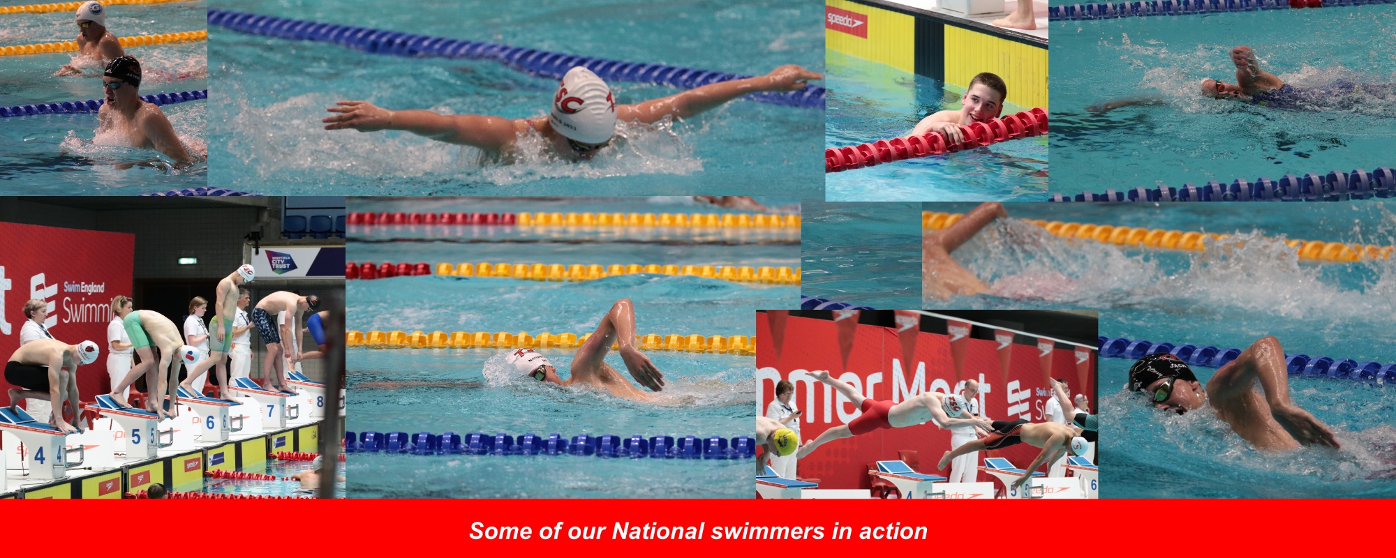 Teddington Swimming Club Home